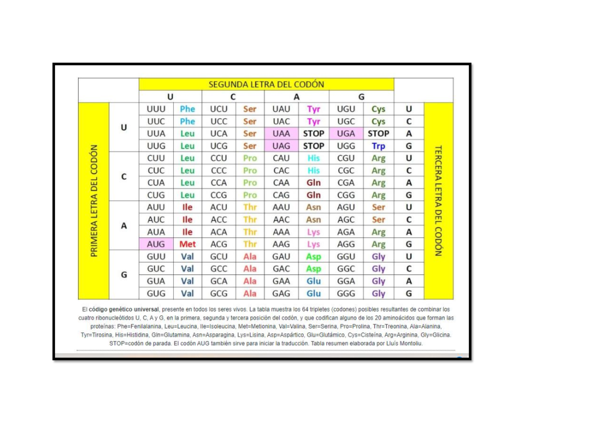 Codigo de codones - piola - Quimica - Studocu