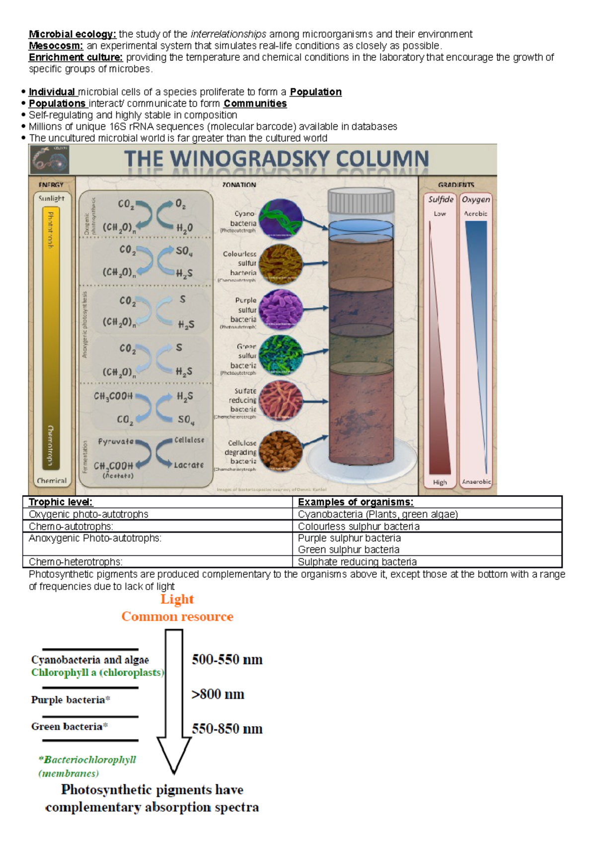 CELS 191 - Lecture 36 (Microbial pathogenicity) - Microbial ecology ...