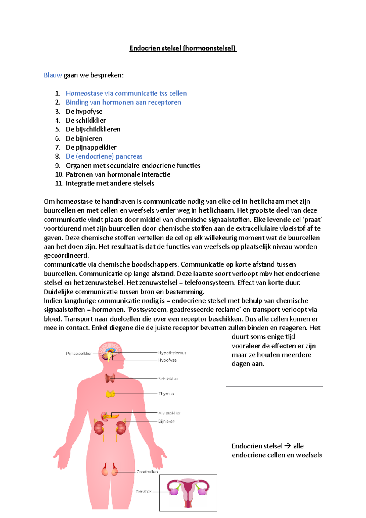 Endocrien stelsel - Het grootste deel van deze communicaie vindt plaats ...