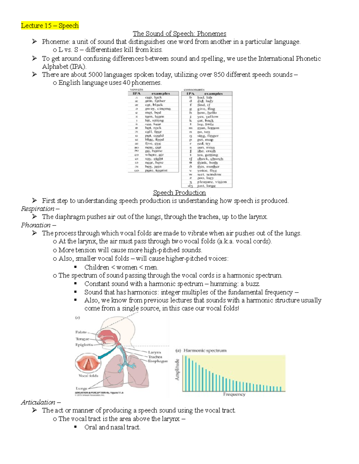Psyc 213 Lecture 15 Speech Lecture 15 Speech The Sound Of Speech Phonemes Phoneme A Unit 2514