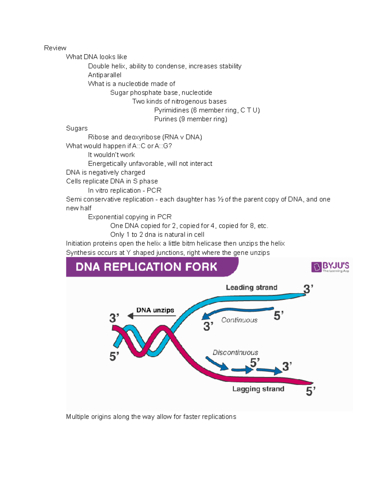 BIO 2110 - DAY 1 OF Molecular Genetics - Review What DNA looks like ...