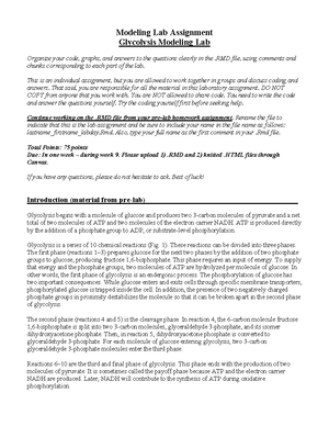 Biochemistry Final Exam Notes - Amino acid catabolism in mammals ...