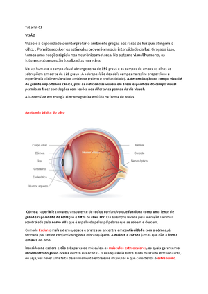 Sistema somatossensorial - Warning: TT: undefined function: 32 Warning: TT: undefined function ...