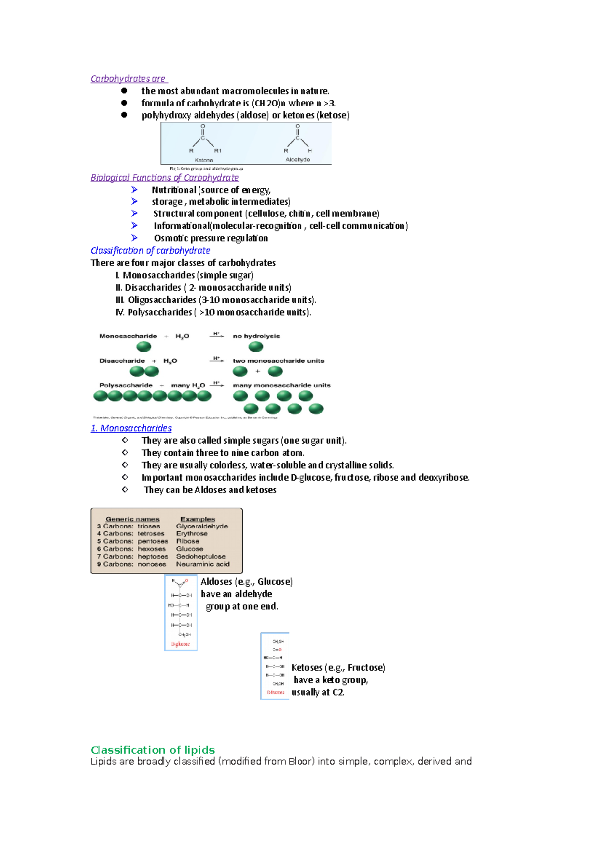 Biochemistry note - Carbohydrates are the most abundant macromolecules ...