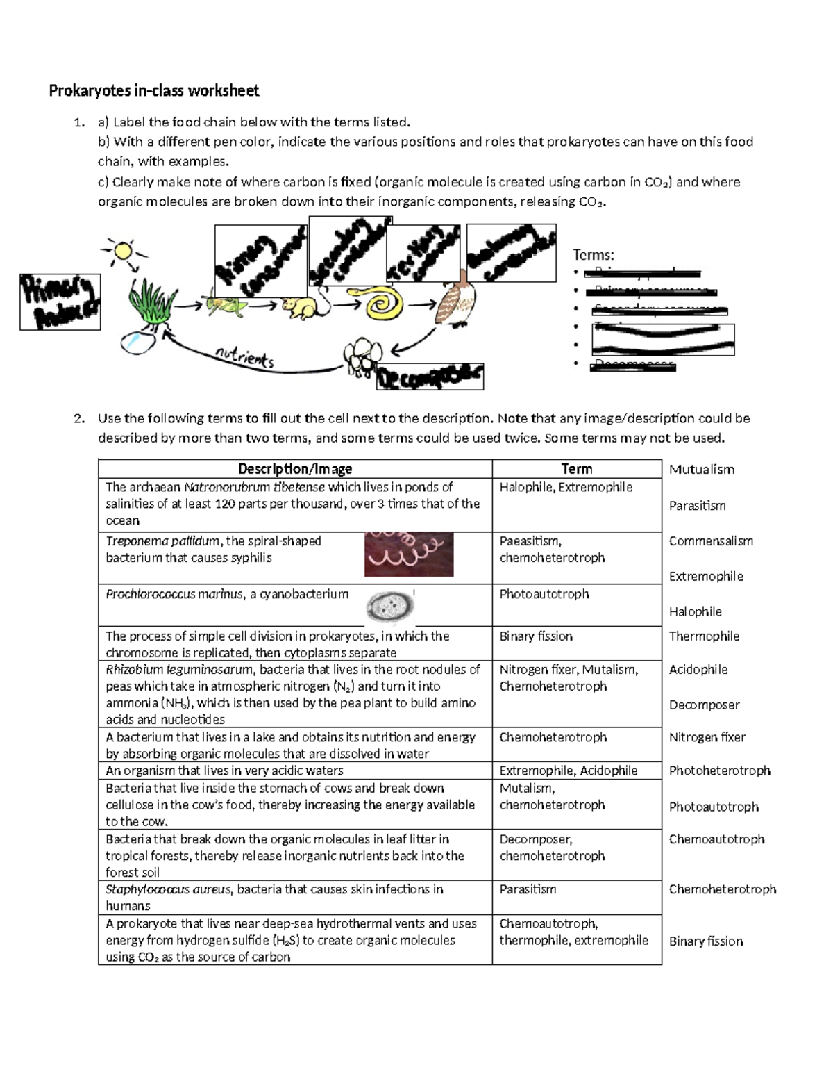 27 Prokaryotes Worksheet - Prokaryotes in-class worksheet 1. a) Label ...