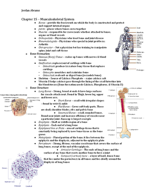 MMSC Exam 1 Notes - Chapter 1 Analyze words by dividing them into parts ...