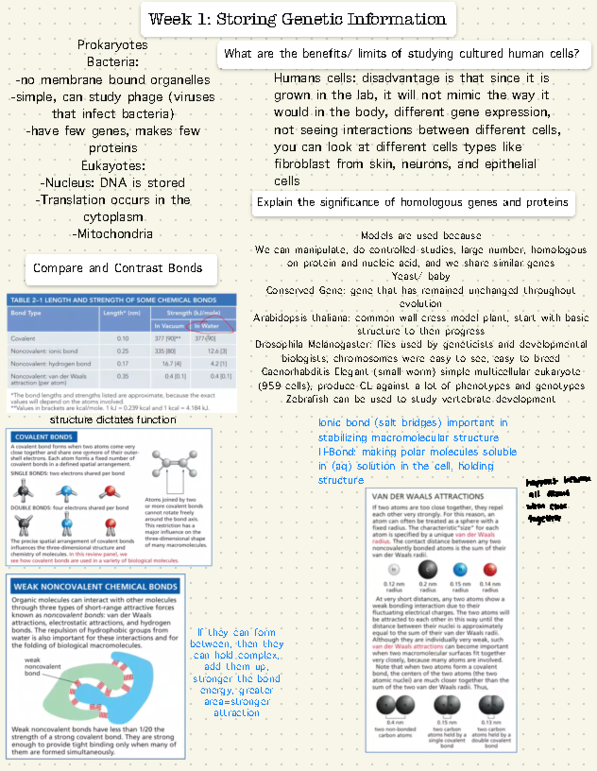 MCB 411 Storing Genetic Info - Week 1: Storing Genetic Information What ...
