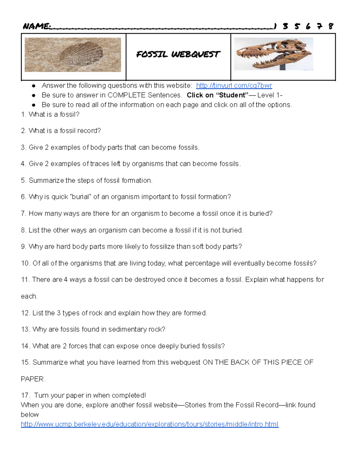 Fossil Intro Webquest - asdfgh - NAME:____________________________________1 3 5 6 7 8 FOSSIL ...