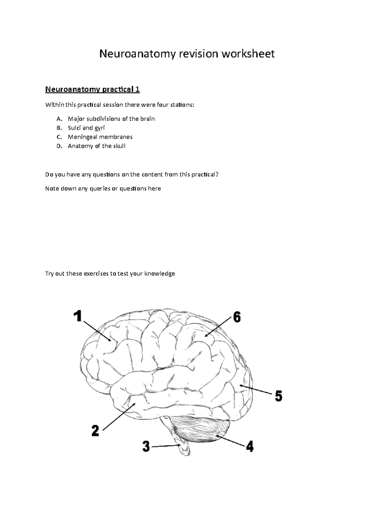 Neuroanatomy revision worksheet - Neuroanatomy revision worksheet ...