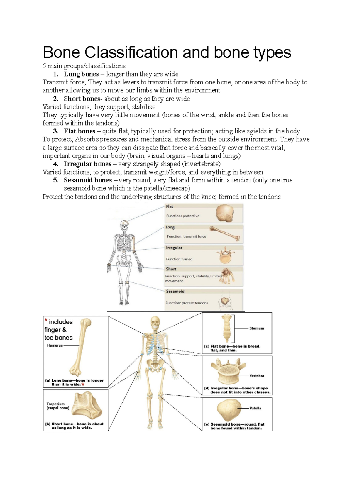 Spot test 1 notes - Bone Classification and bone types 5 main groups ...