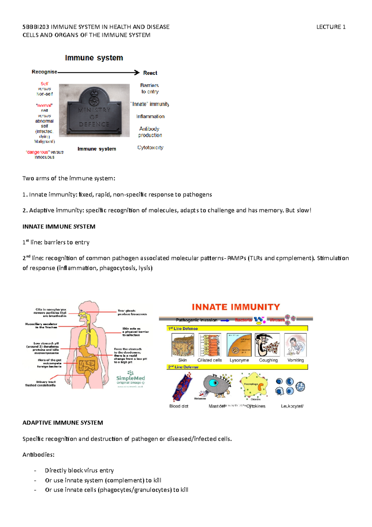 L1. Cells AND Organs OF THE Immune System - CELLS AND ORGANS OF THE ...