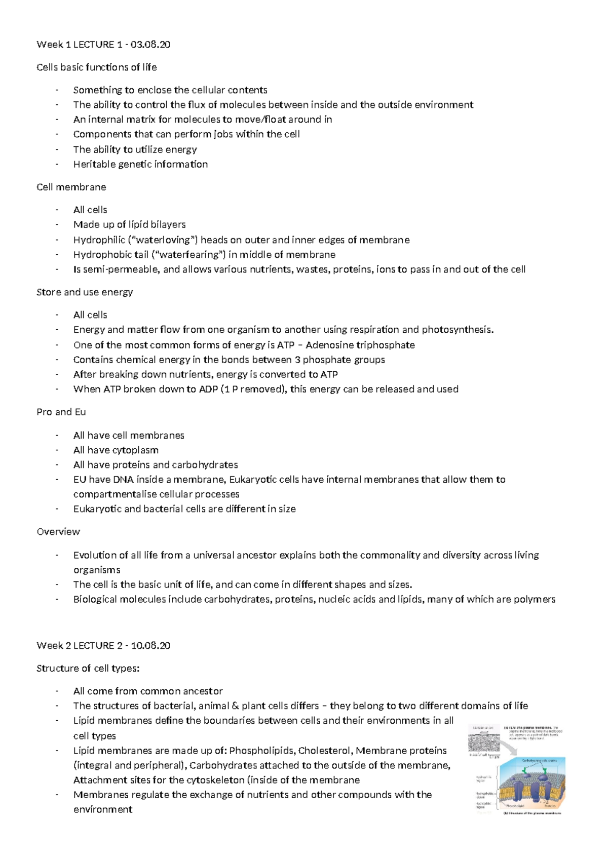 Final exam revision - Summary Genes, Cells & Evolution - Week 1 LECTURE ...