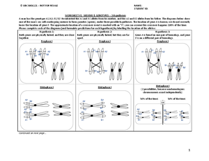 Worksheet #2 - Meiosis (and mitosis) with Sally Scenario - Full name ...