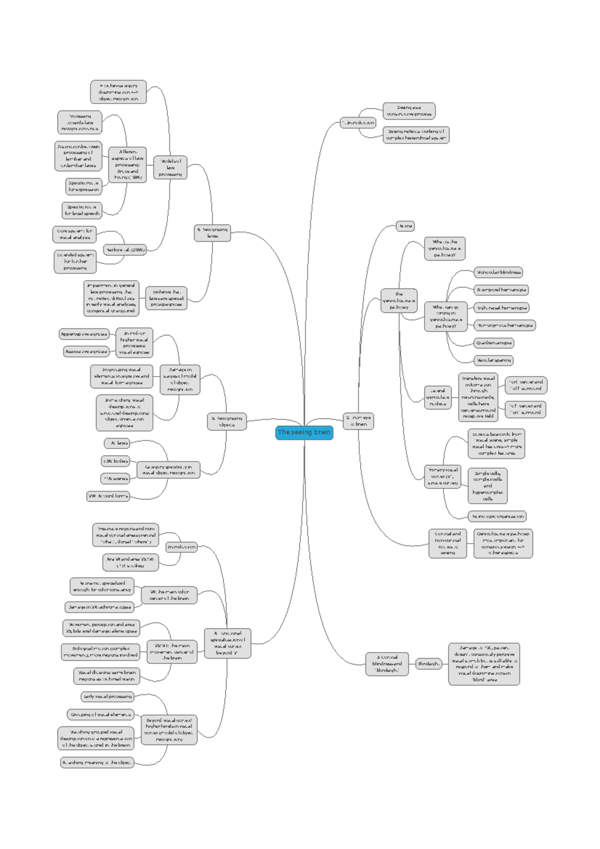 The seeing brain - Mindmap - The seeing brain Recognizing faces Models ...