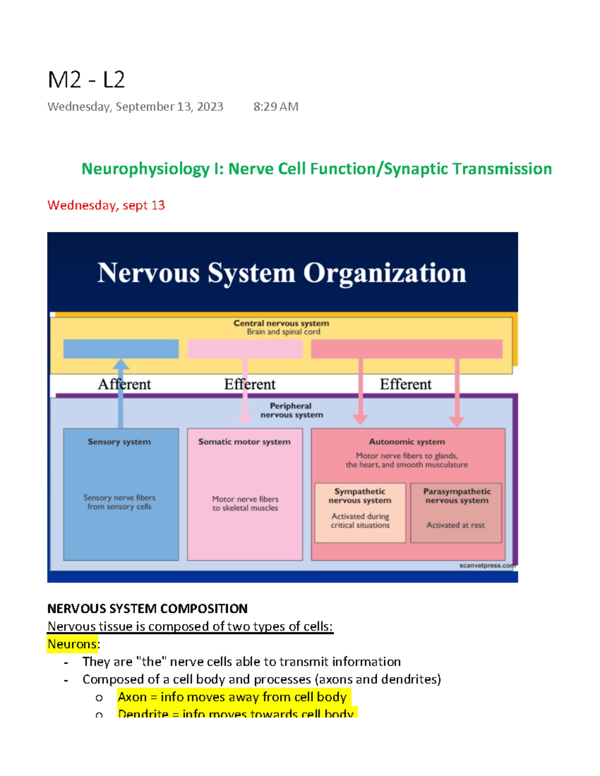 Module 2 - Lecture 2 - Neurophysiology I: Nerve Cell Function/Synaptic ...