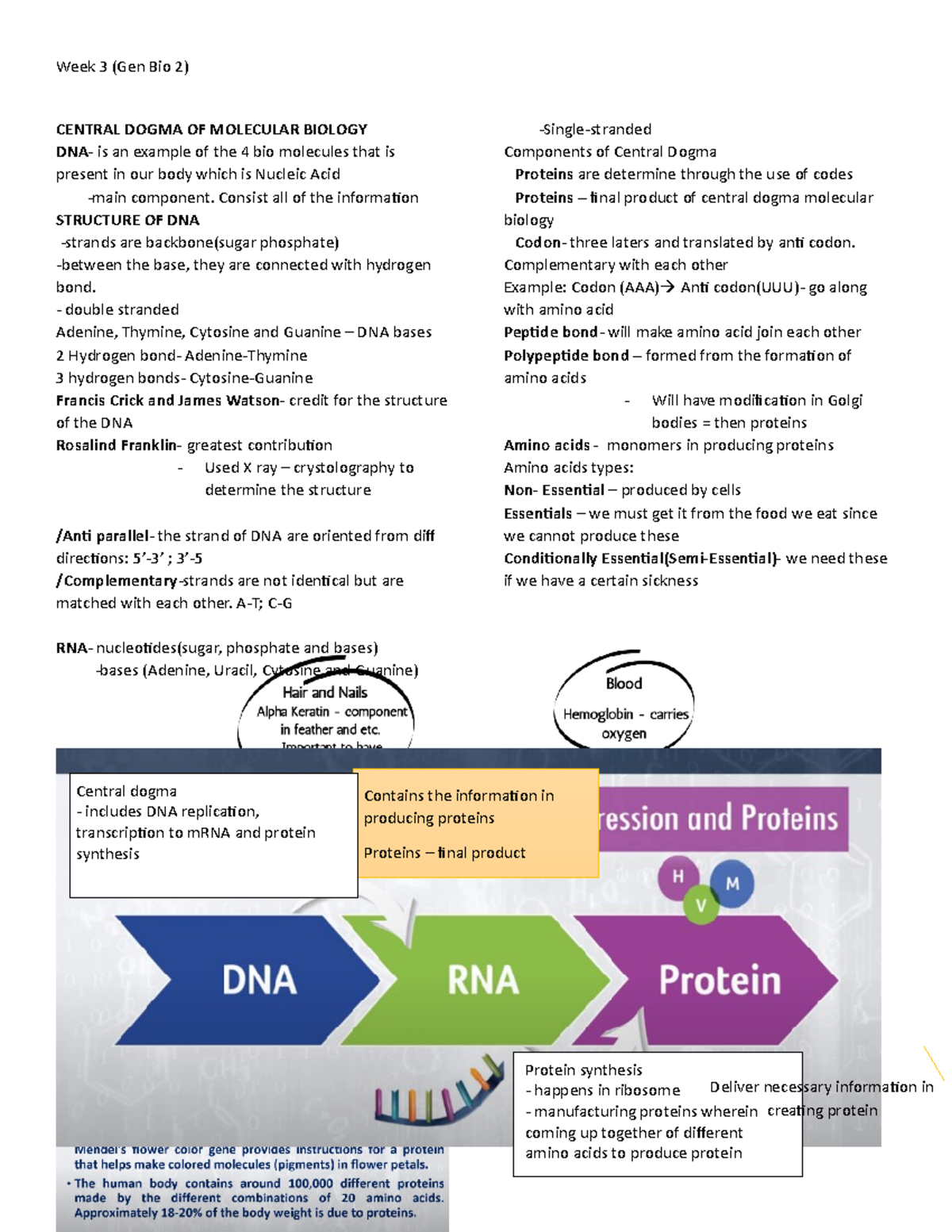 Genetics-AND- Heredity Gen Bio-Central Dogma - CENTRAL DOGMA OF ...