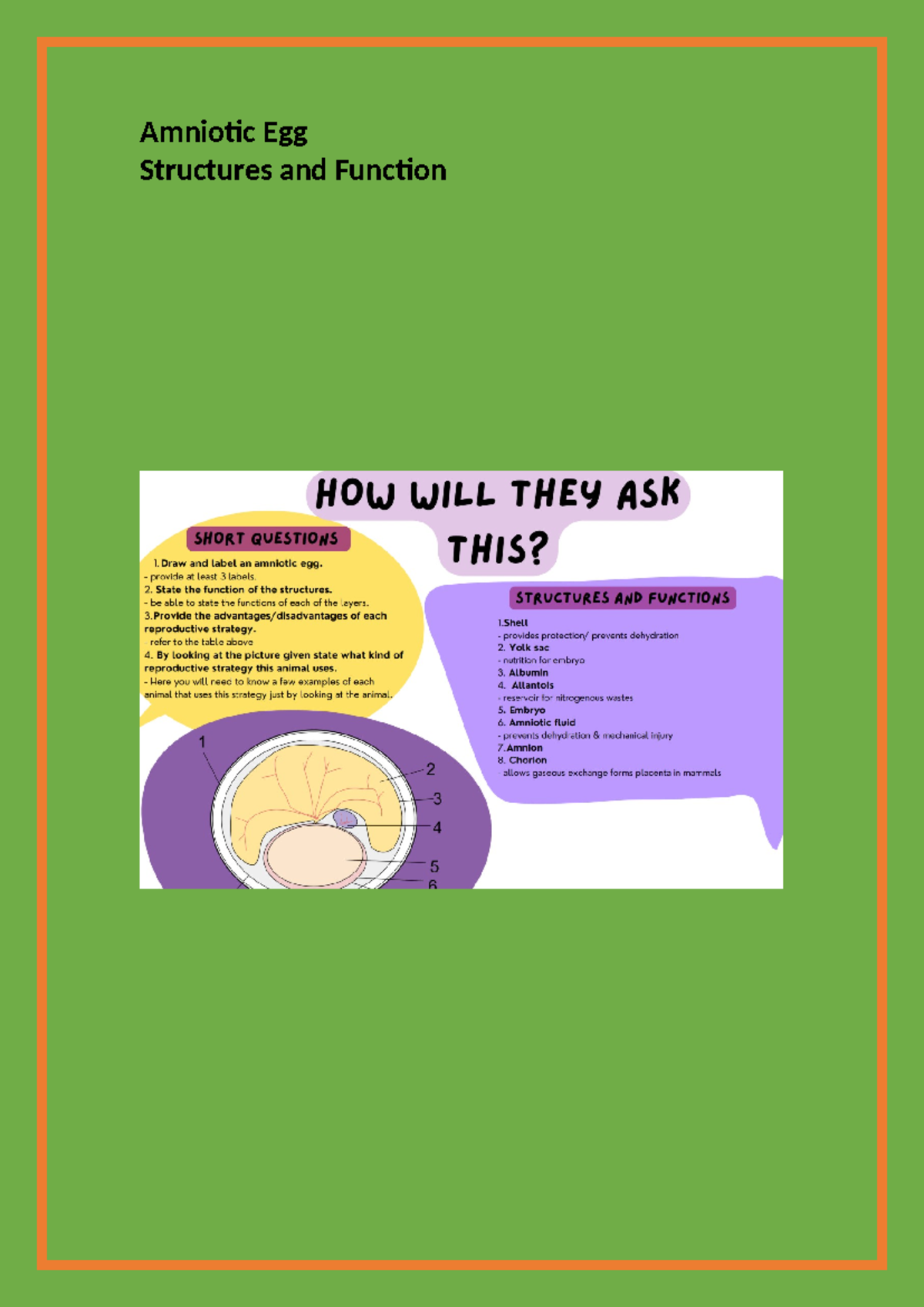 2.) Amniotic egg - Amniotic Egg Structures and Function HOW WILL THEY ASK SHORT QUESTIONS THIS ...