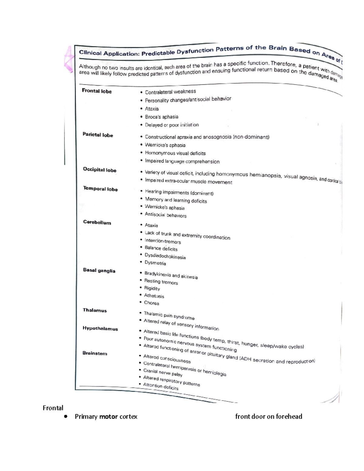 NM notes pg 88-89 - therapy ed book PTA EXAM - Frontal Primary motor ...