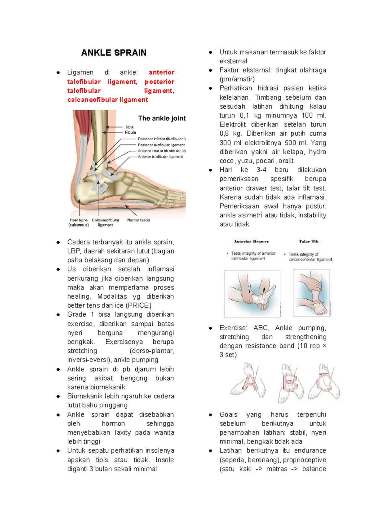 Cedera pada atlet badminton - ANKLE SPRAIN Ligamen di ankle: anterior ...