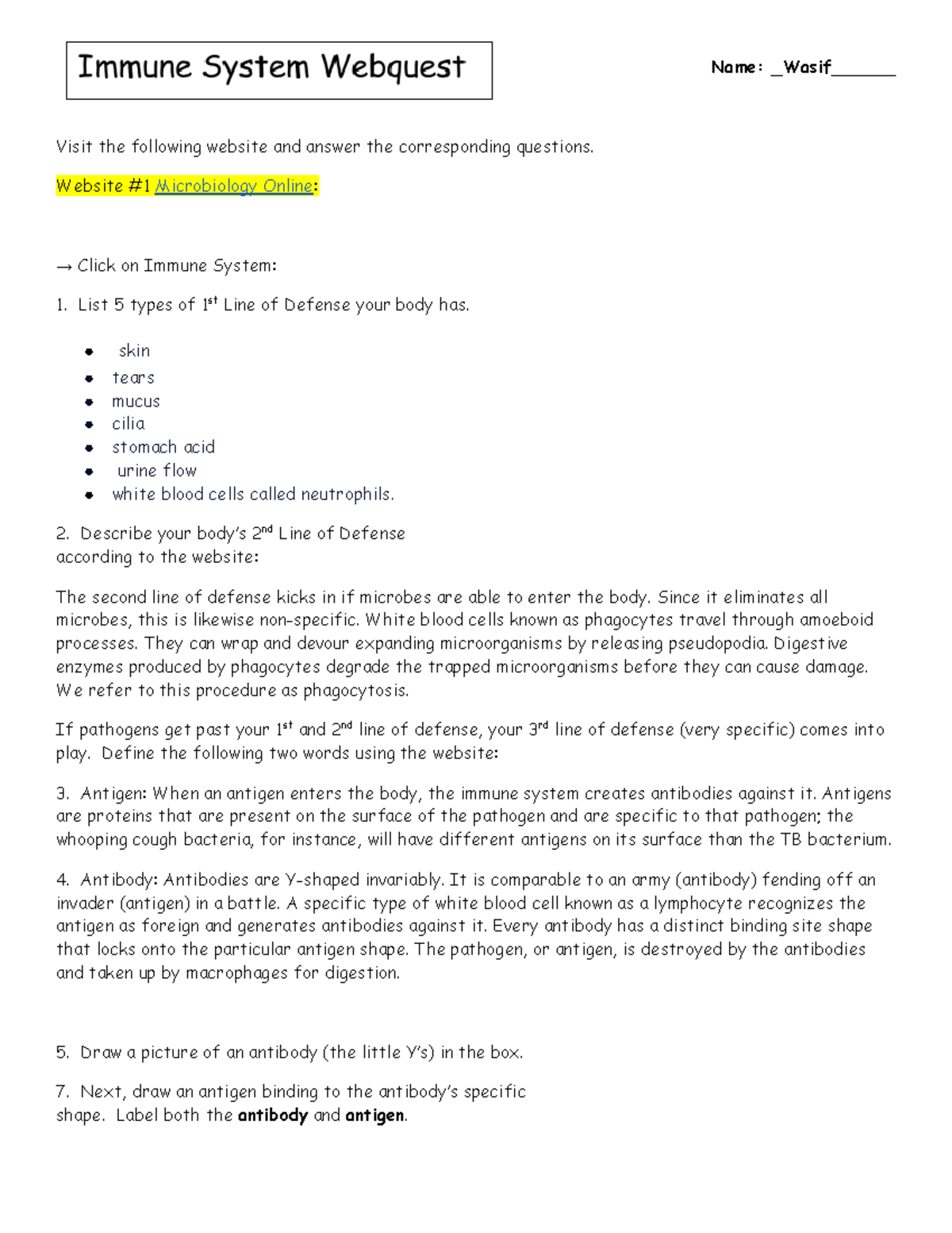 Immune System Webquest - Name: Wasif_____ Visit the following website ...