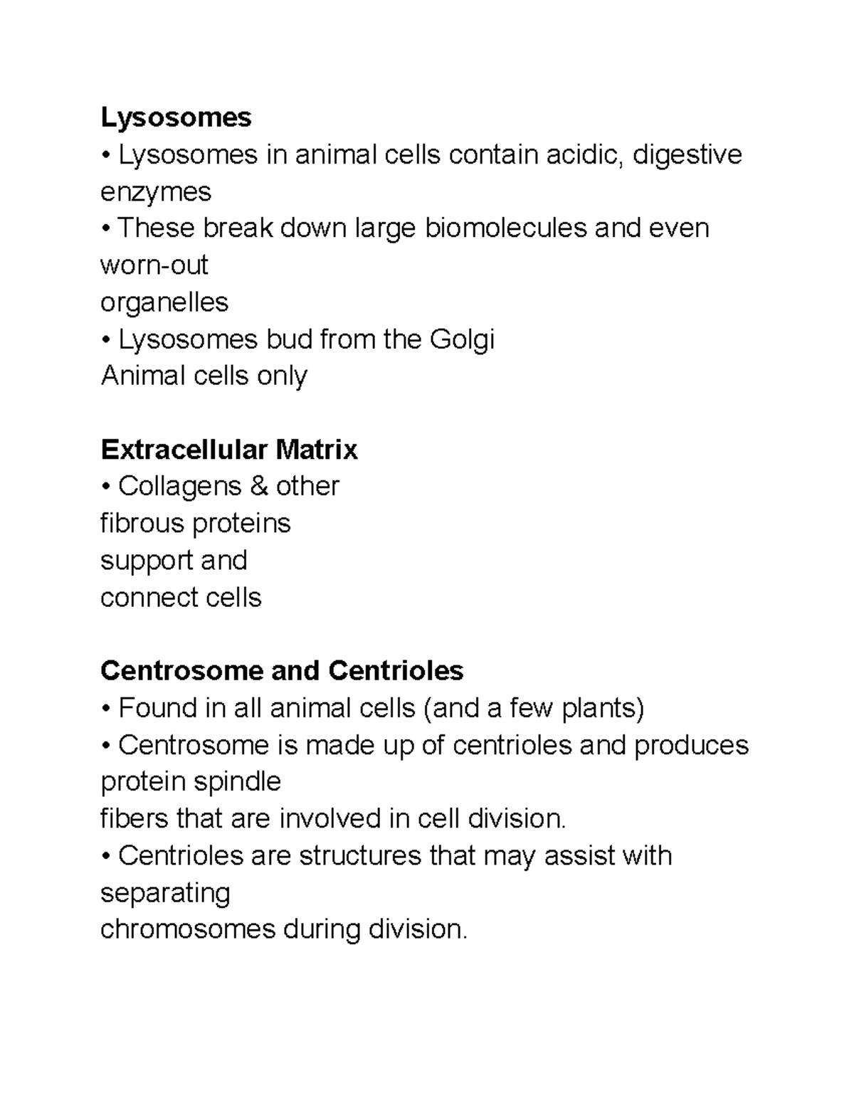 BIOL 1345 Module 3 Cell Structure - Lysosomes Lysosomes in animal cells ...