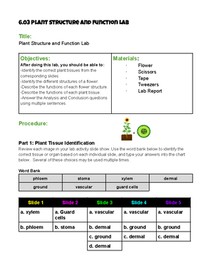 Lab-Magnetic and Electric Fields-Student Guide - Copyright © Edgenuity ...