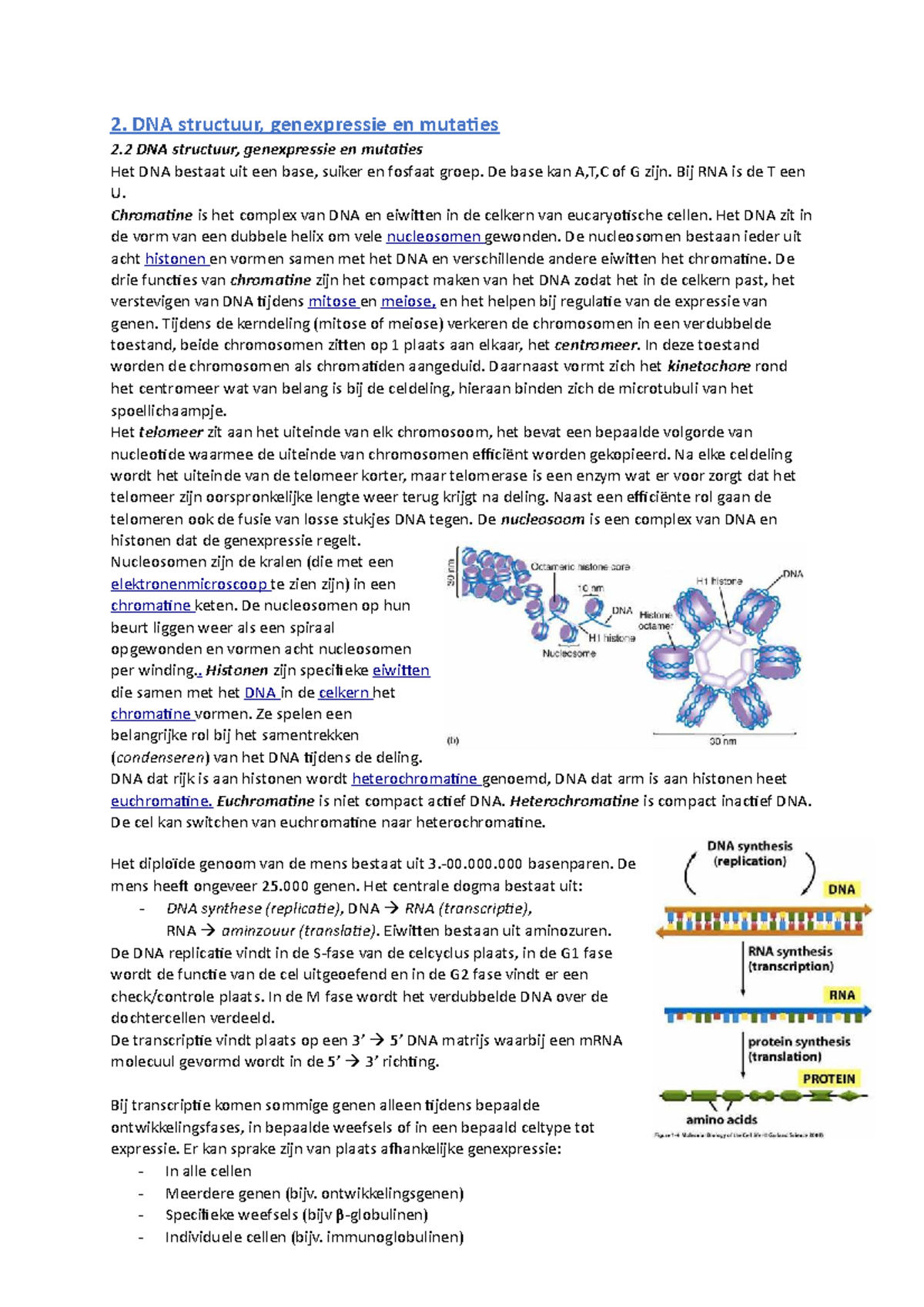 Samenvatting Medische Genetica - 2. DNA structuur, genexpressie en ...