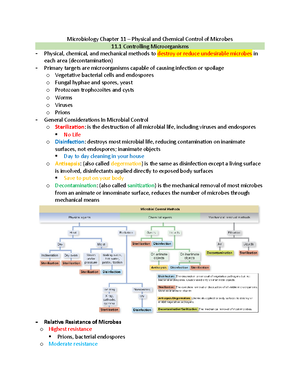 Microbiology Chapter 6 – An introduction to the viruses - Microbiology ...