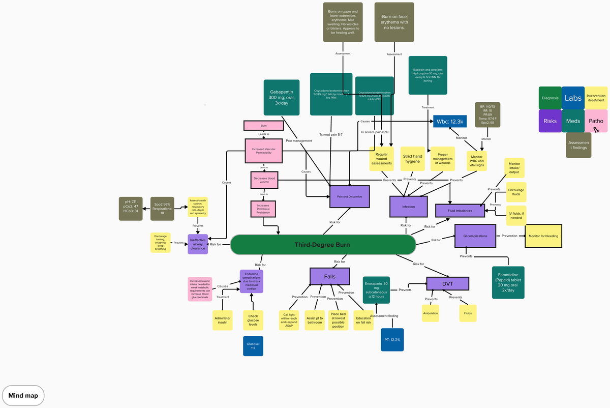 Third Degree Burn Concept Map - Third-Degree Burn Burn Increased ...