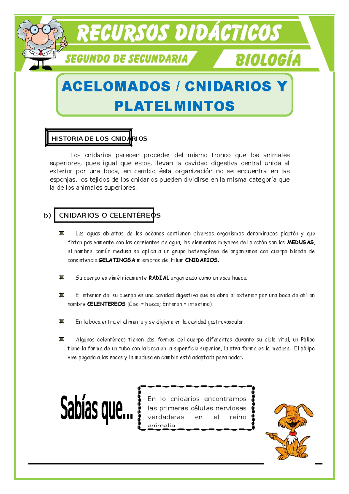 Acelomados Cnidarios y Platelmintos para Segundo de Secundaria ...