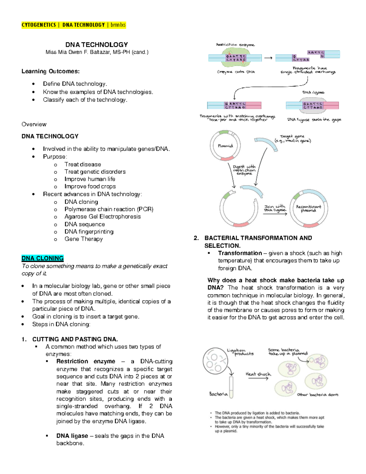 DNA tech-Bacterial - cytogenetics - DNA TECHNOLOGY Miss Mia Gwen F. Baltazar, MS-PH (cand ...
