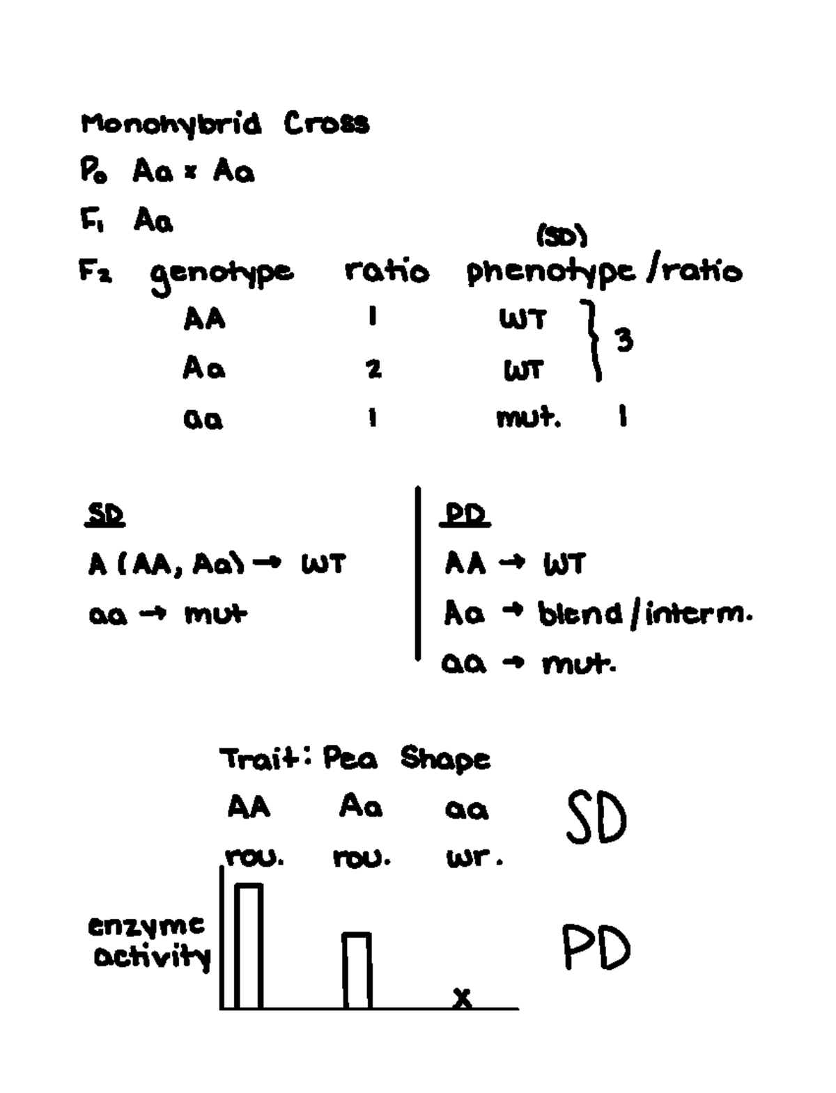 Genetics Class Notes - Mono hybrid Cross Po Ha x Aa F Aa SD Fz genotype ...
