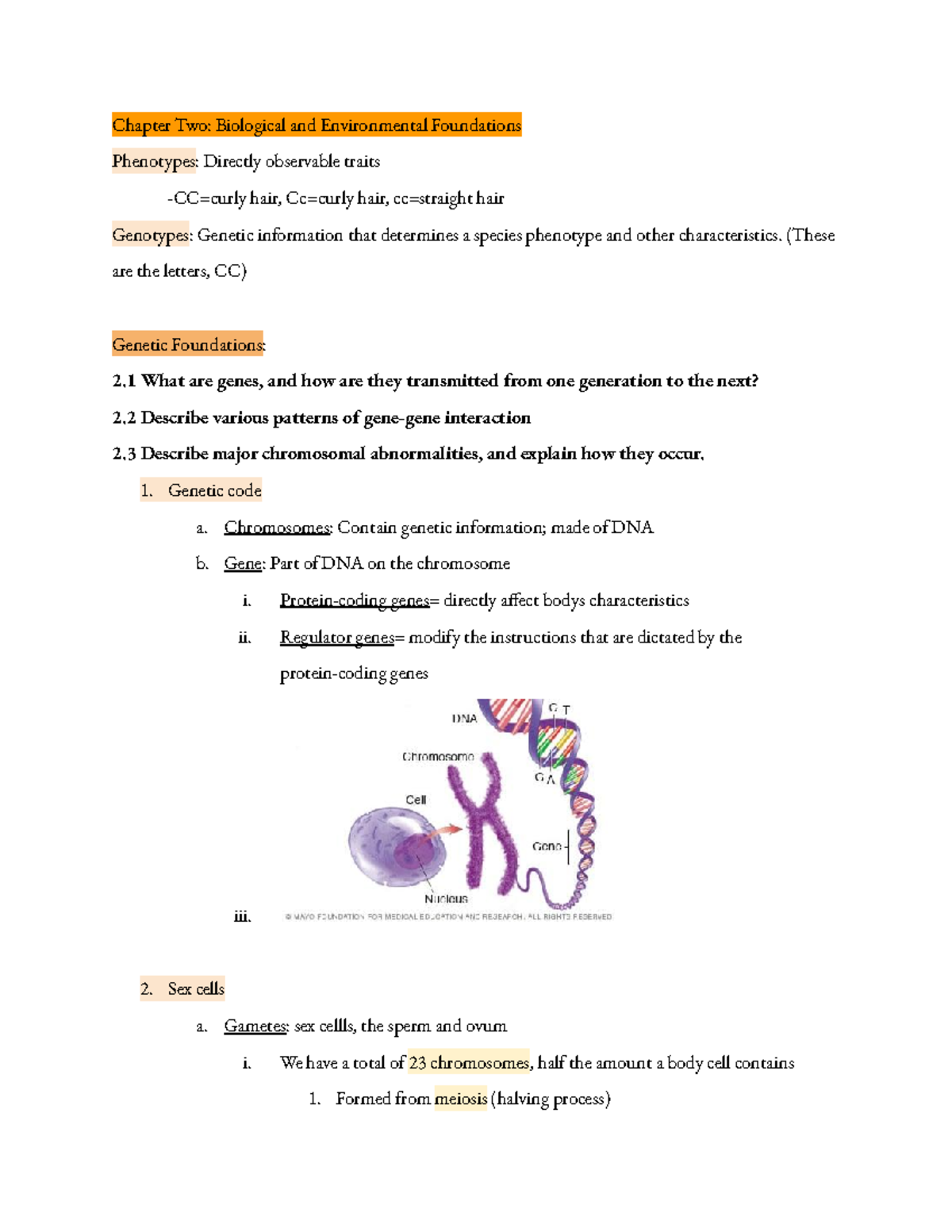 Chapter Two: Genetic and Environmental Foundations - Chapter Two ...