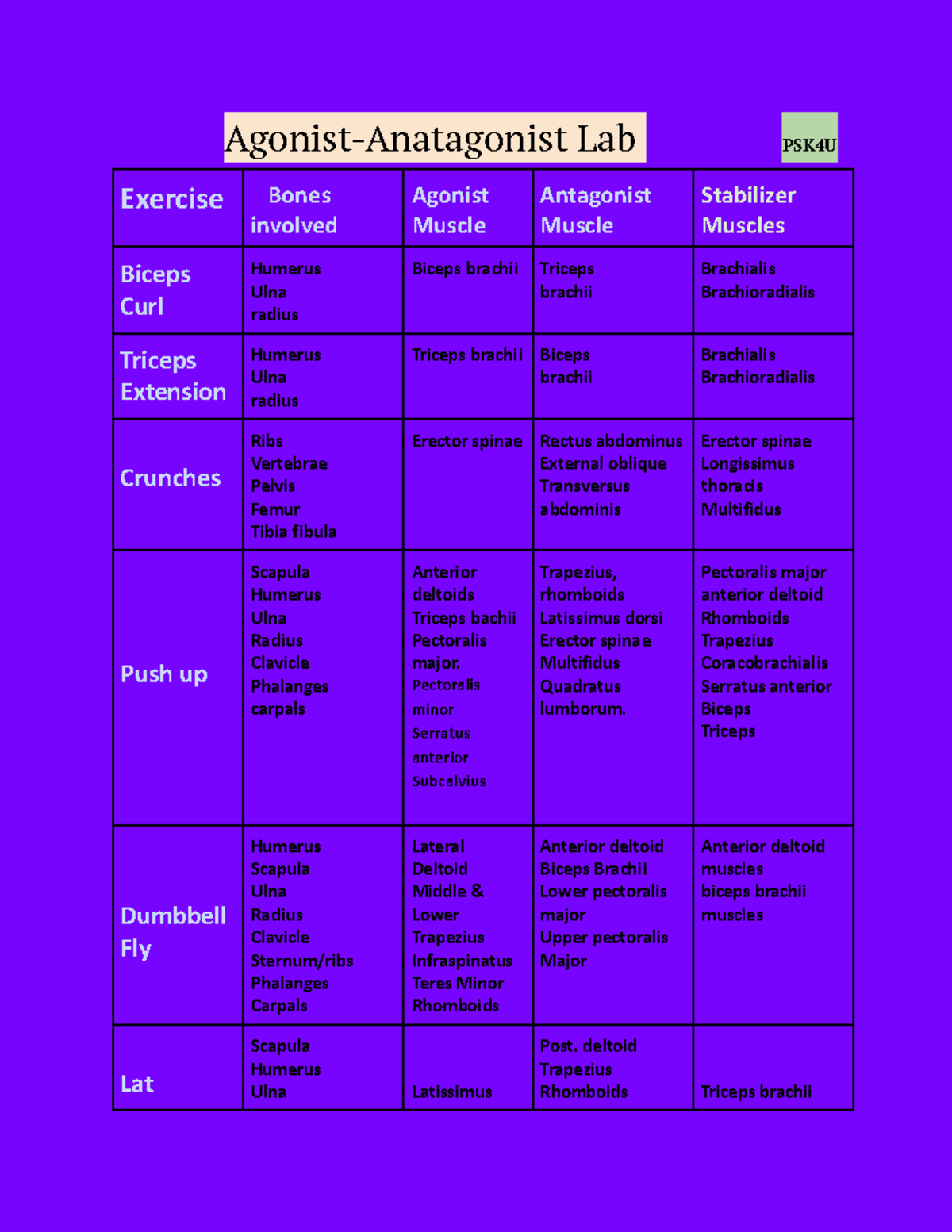 Grade 12 University PSK4U - Agonist-Anatagonist Lab - Agonist ...