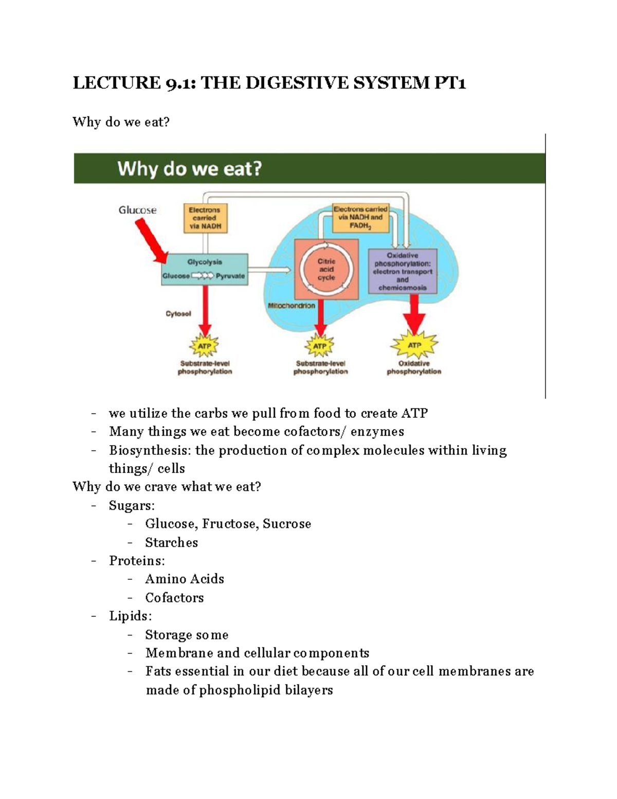 EEMB7 L9.1 - This was taken winter 2021 with Prof. Thomasson - LECTURE ...