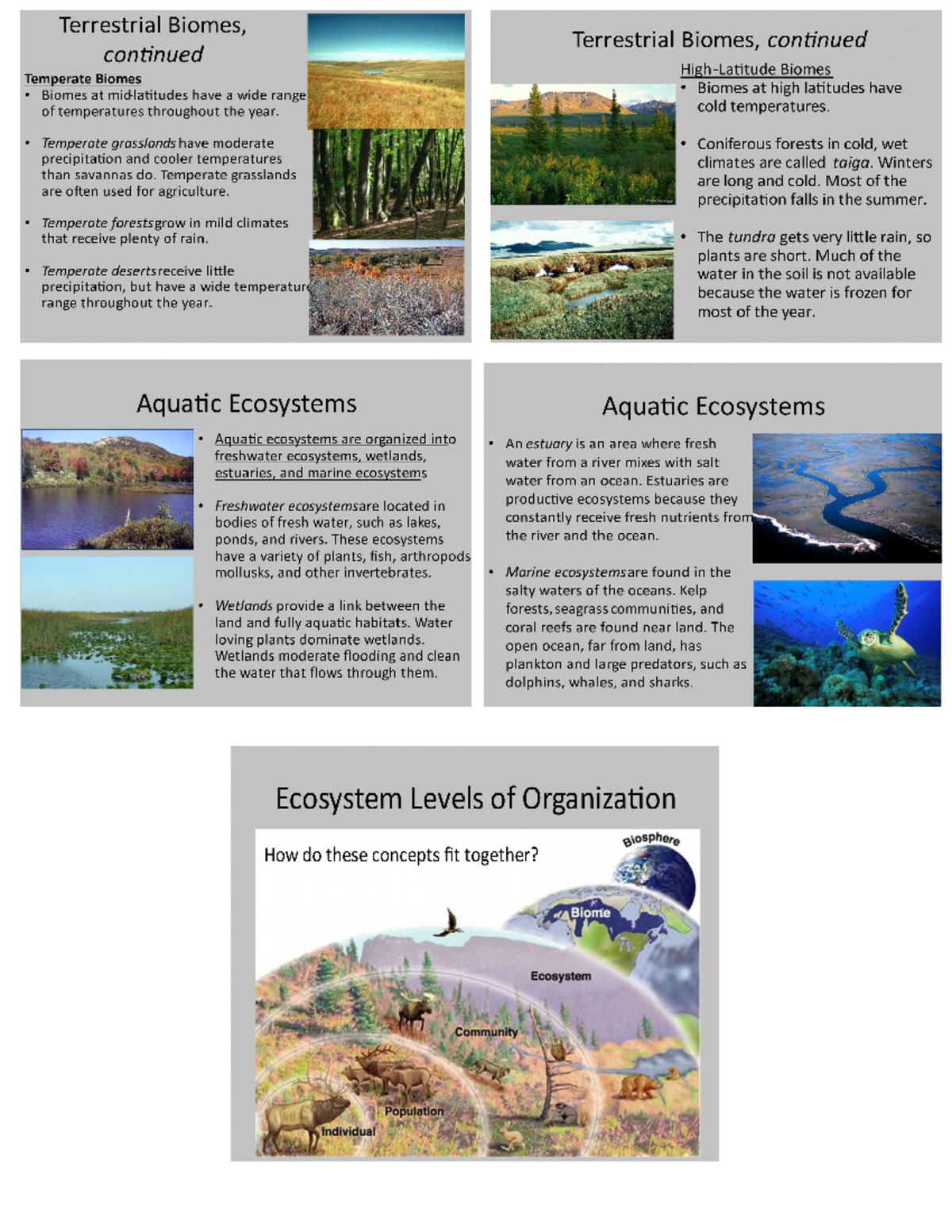 Ecosystem - Biology - Studocu