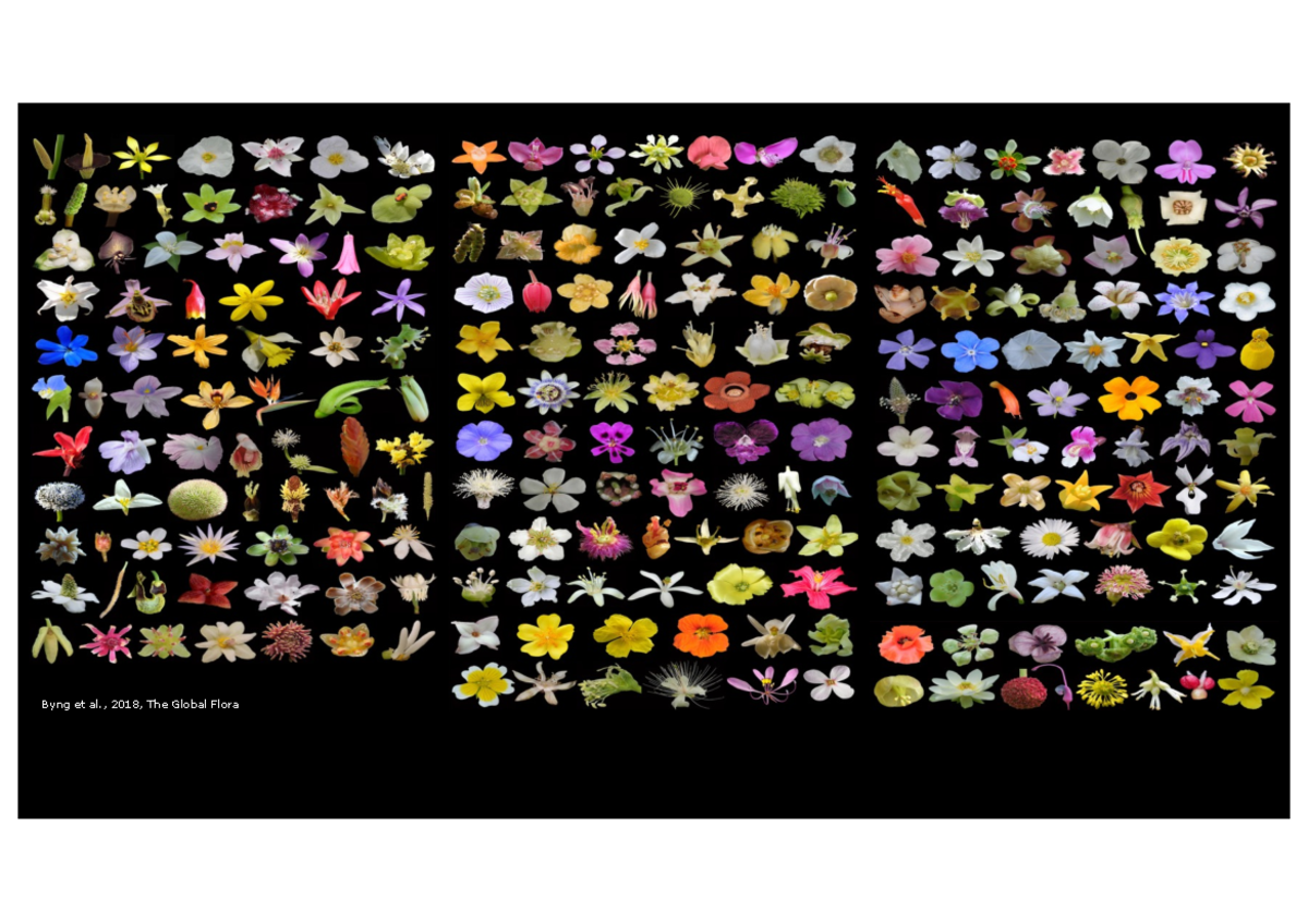 Biodiversiteit van planten les1 220927 - BygByg Byng et al., 2018, The ...