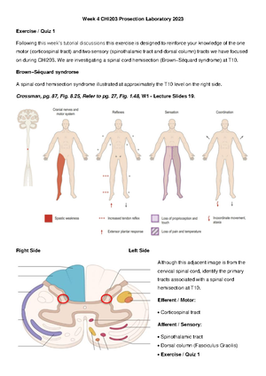 2023 CHI203 - Unit Guide - Unit Information CHI Human Anatomy III ...