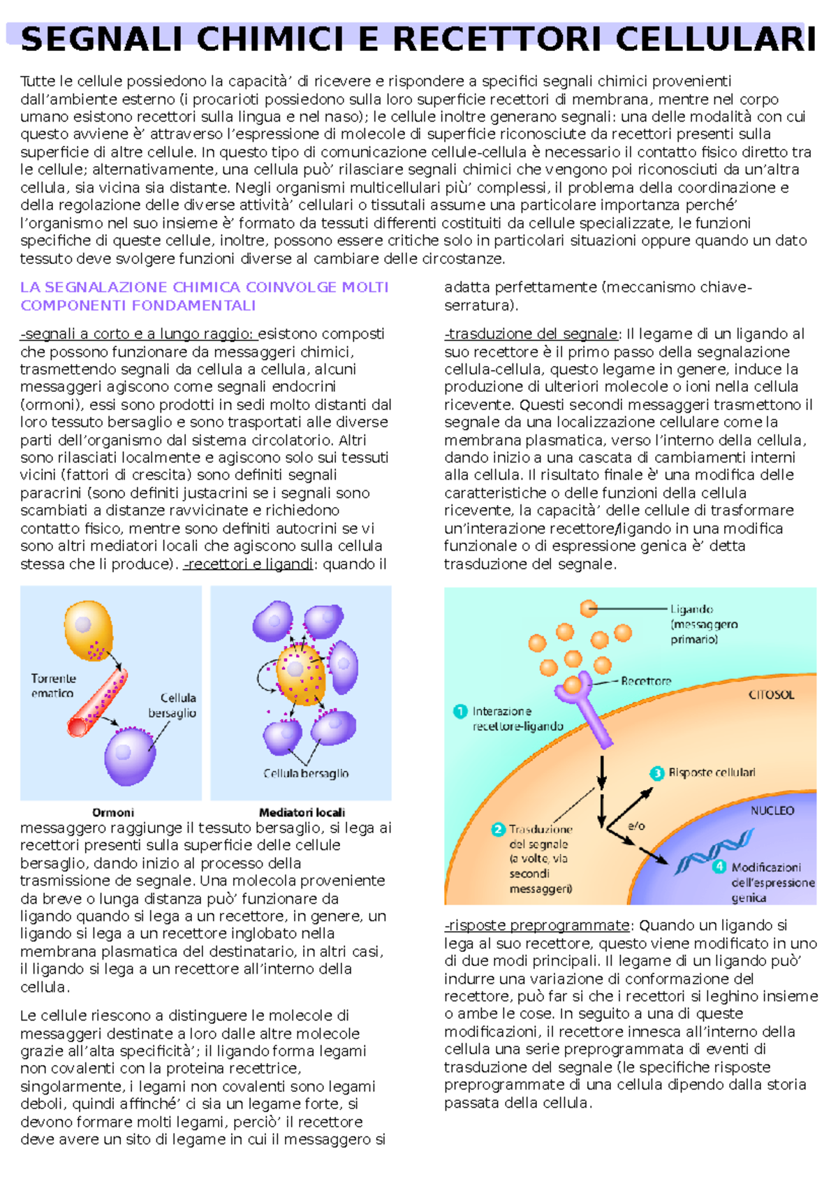 Segnali intracellulari, recettori, ormoni, e trasduzione del segnale ...