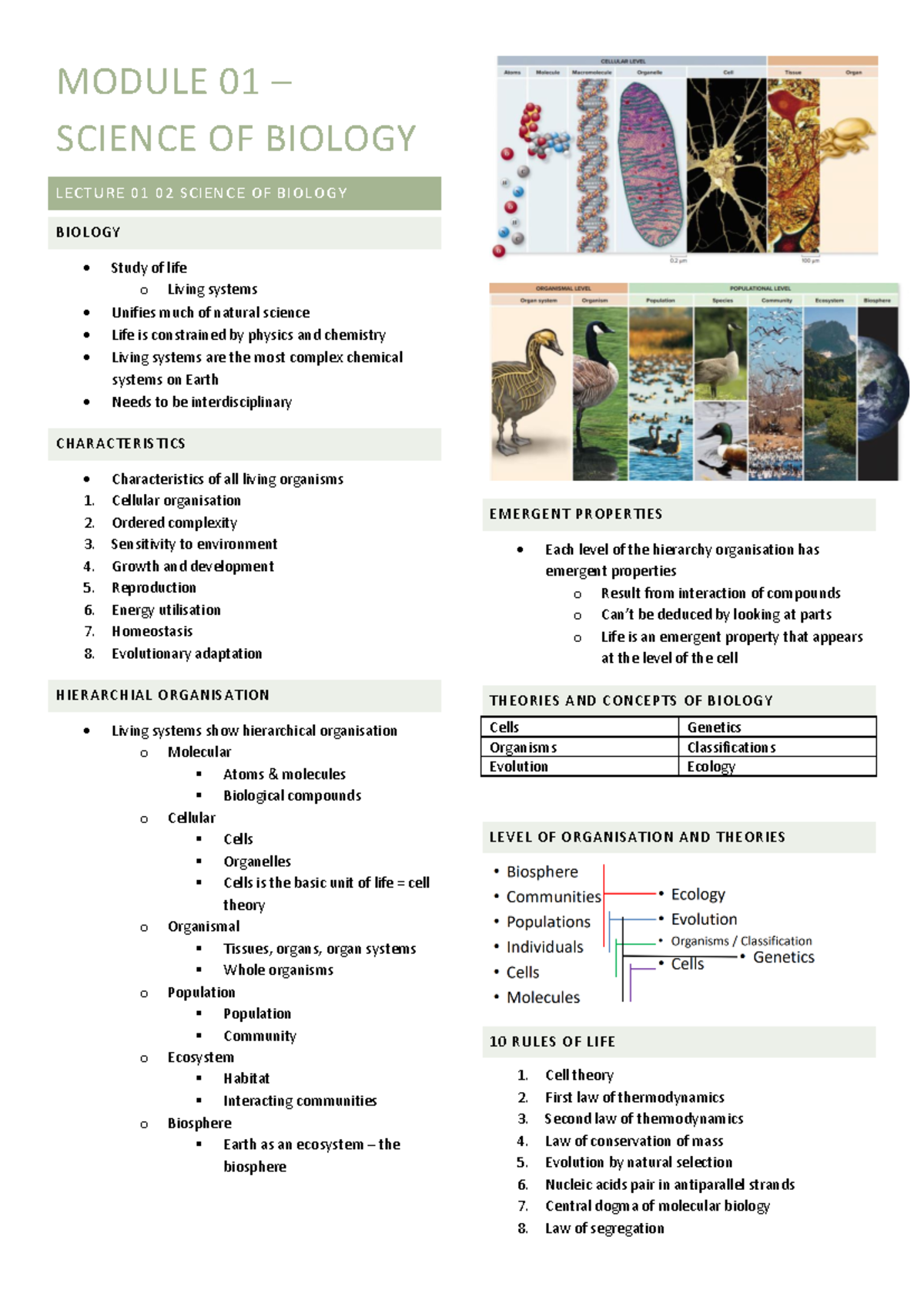 Biodiversity - MODULE 01 – SCIENCE OF BIOLOGY LECTURE 01 02 SCIENCE OF ...