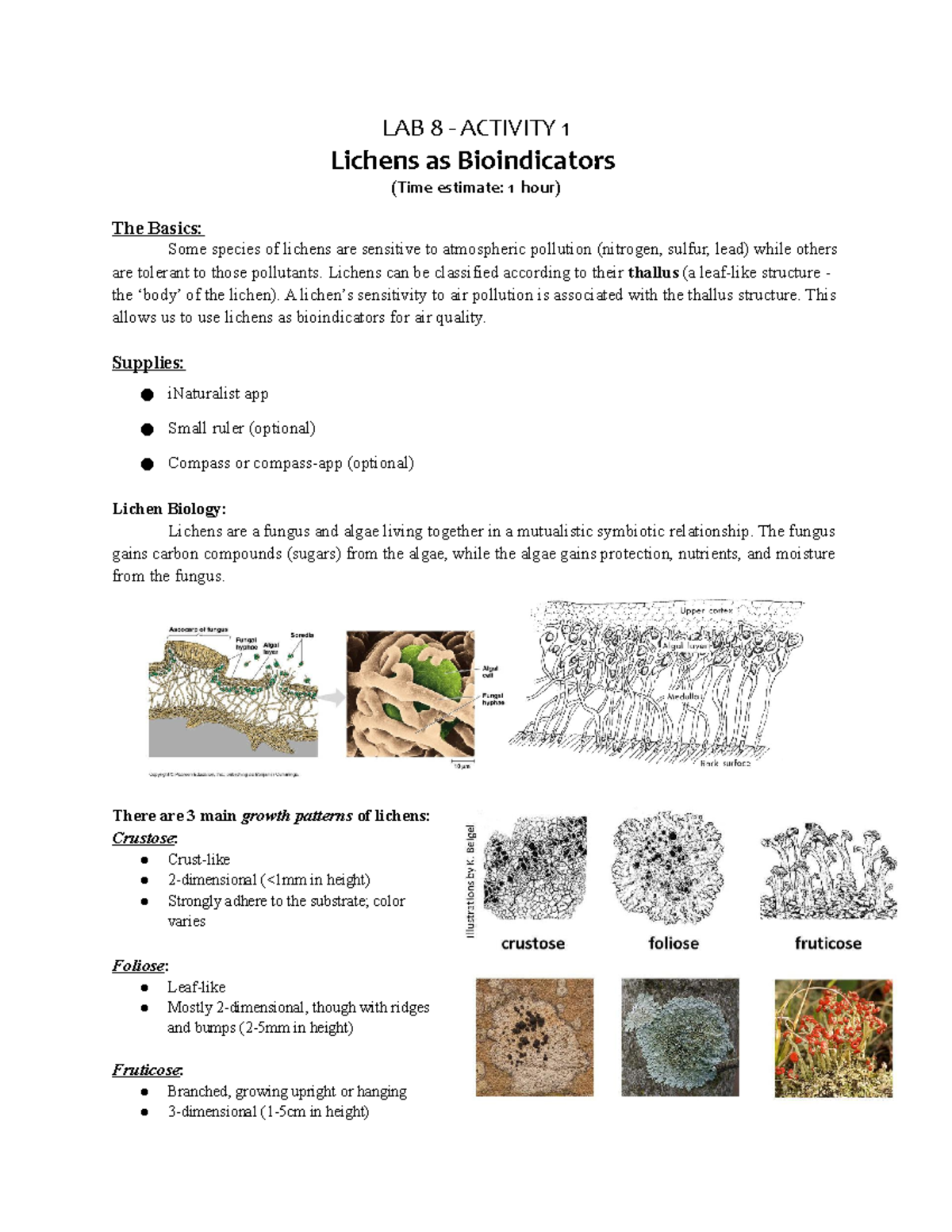 Copy of Lab8activity 1-Lichens - LAB 8 - ACTIVITY 1 Lichens as ...