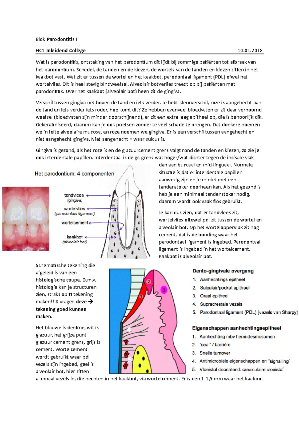 HC1 Inleidend College - Wat is parodontitis, ontsteking van het ...