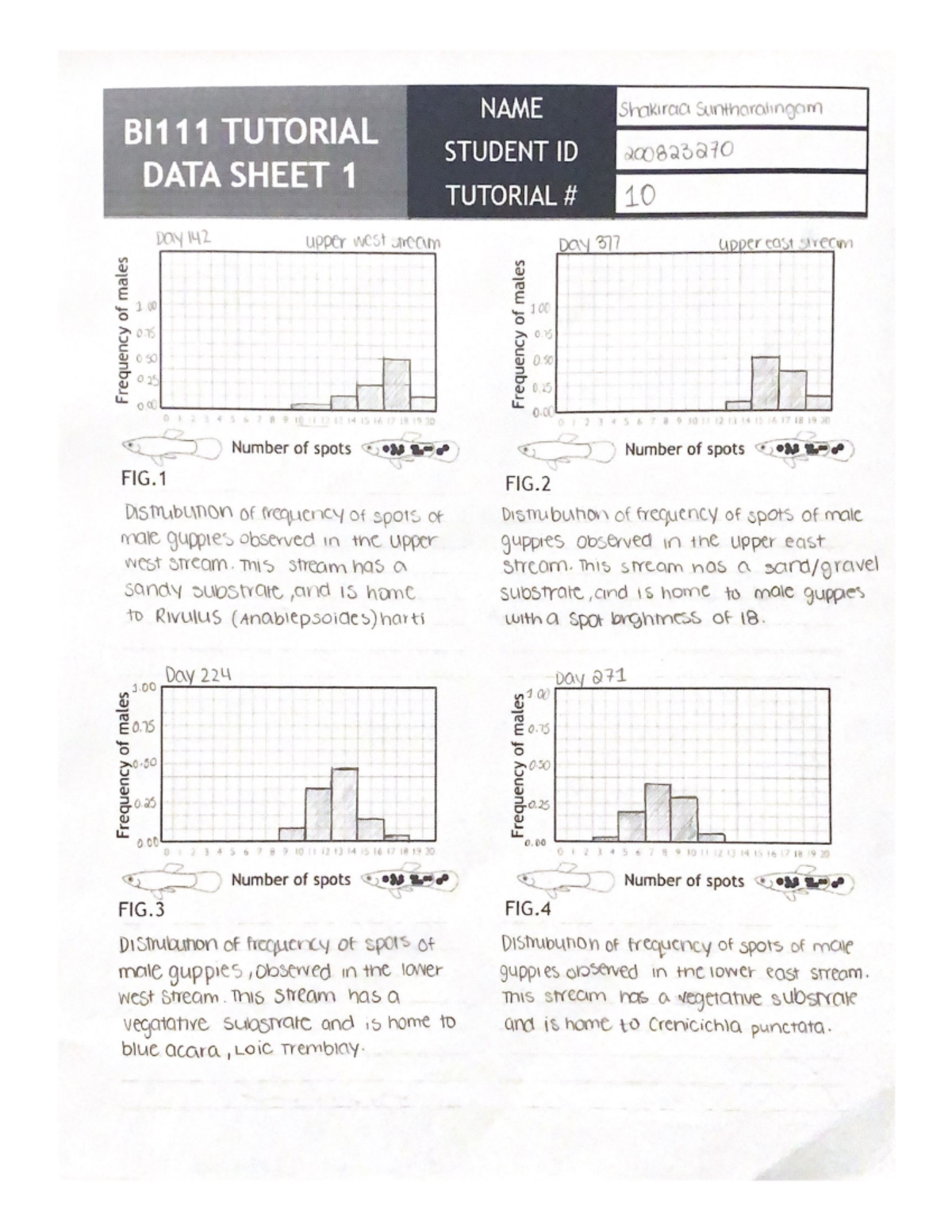BI111 Tutorial - LAB in class work - BI 111 - Studocu