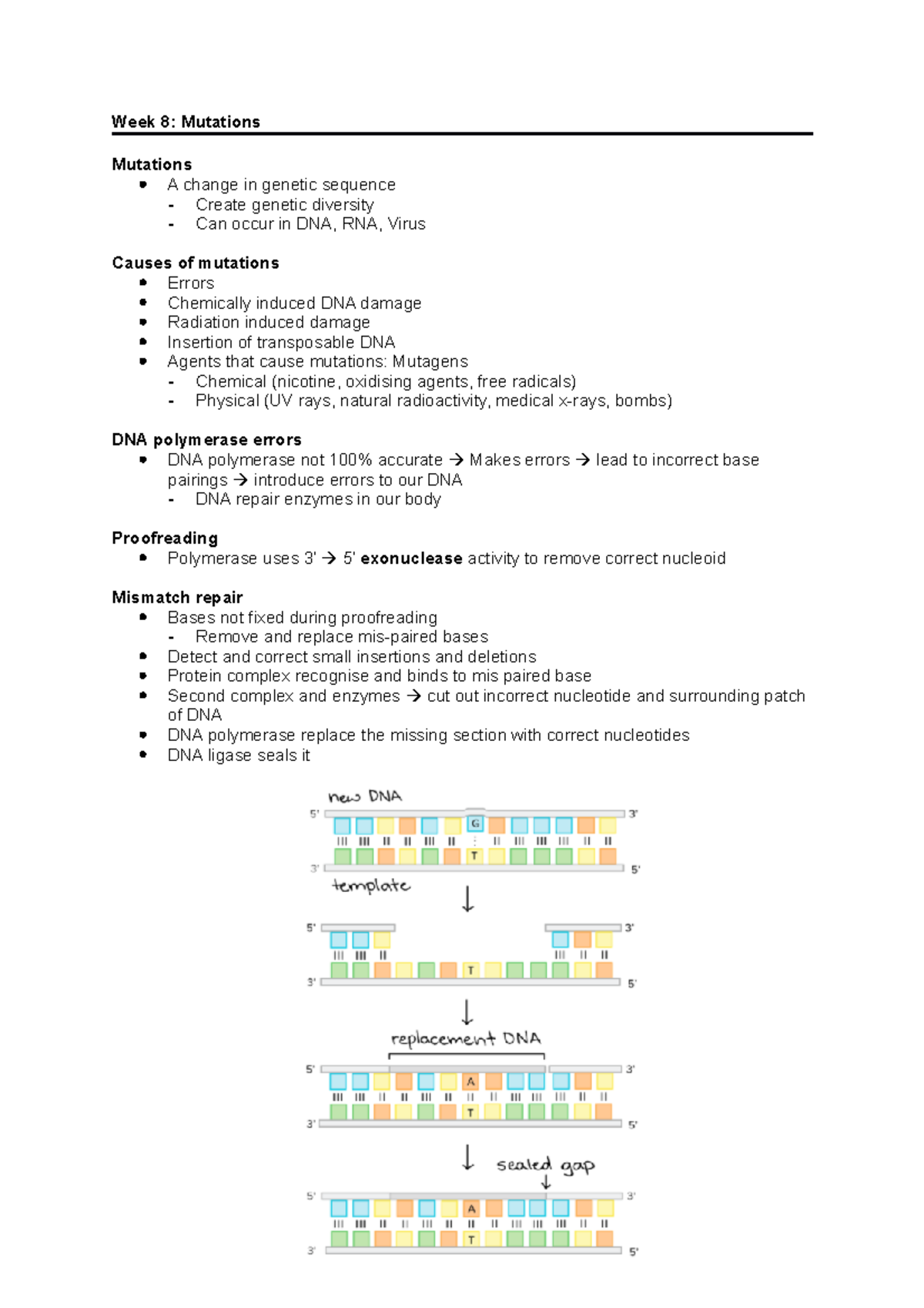 Lec 17 (Mutations) - Lecture notes - Week 8: Mutations Mutations A ...