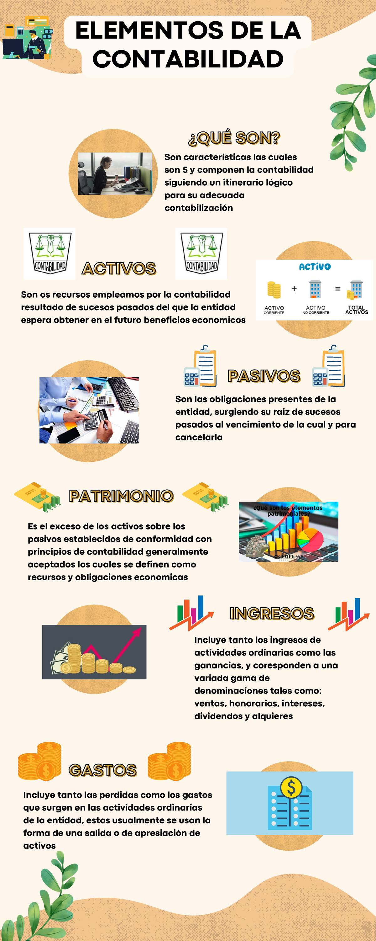 Elementos de la contabilidad Dámaso Zevallos - ELEMENTOS DE LA ...