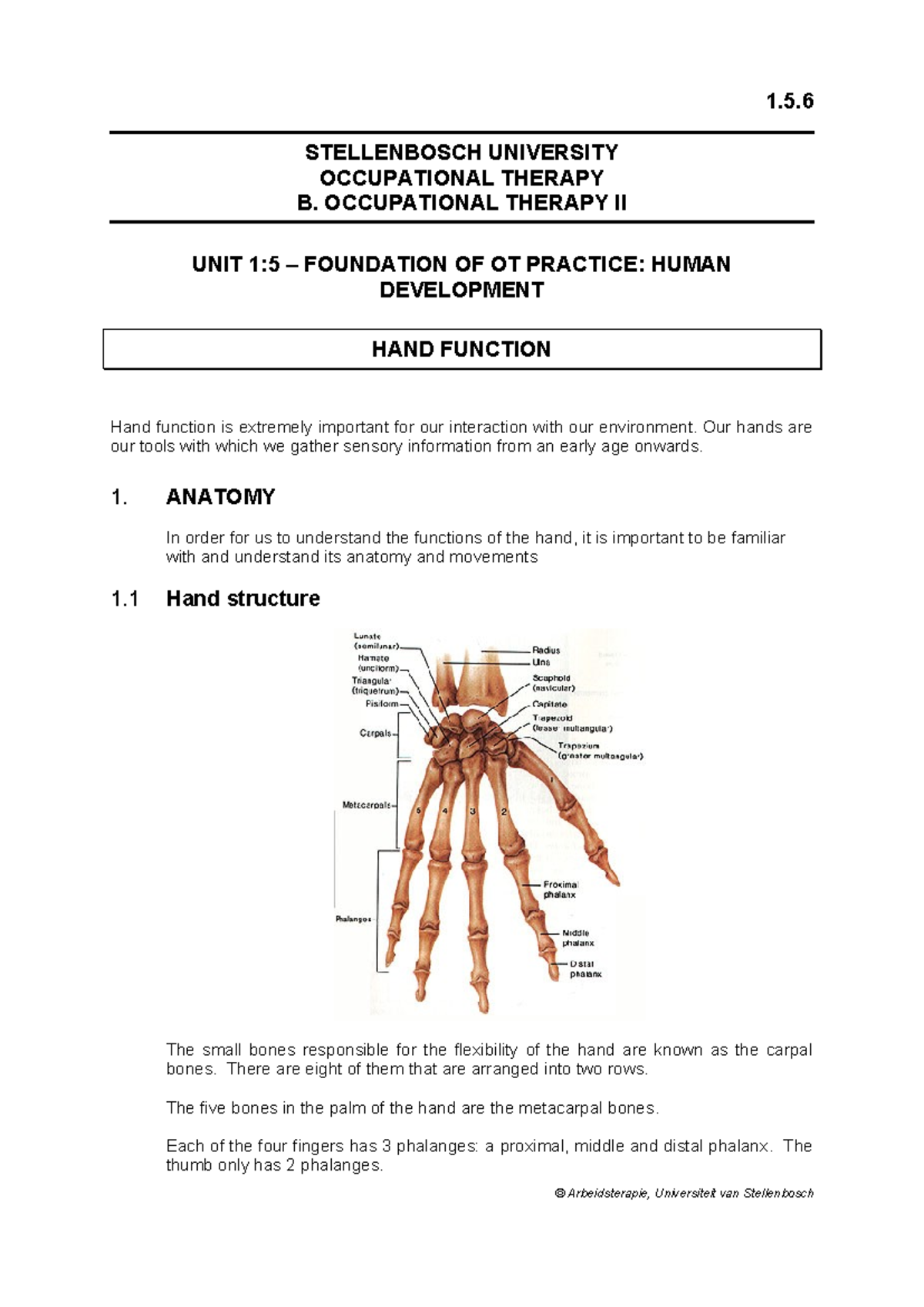 6 Handfunction class notes - 1. STELLENBOSCH UNIVERSITY OCCUPATIONAL ...
