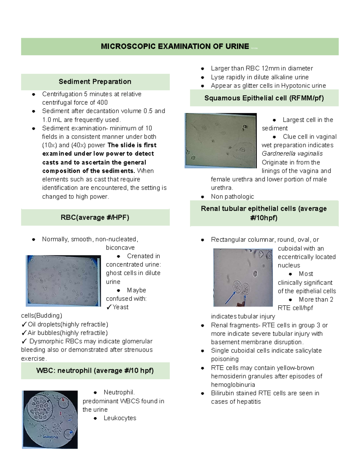 Microscopic Examination OF Urine - MICROSCOPIC EXAMINATION OF URINE ...