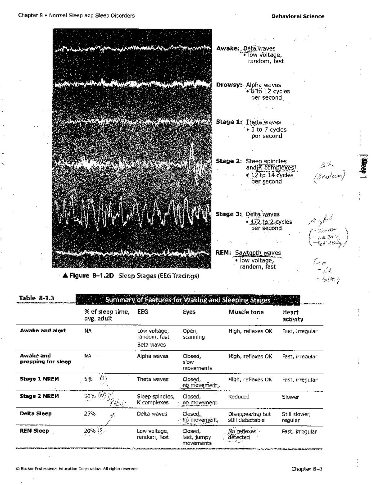 Azooz - Becker Sleep notes - PSYC 3350 - Studocu