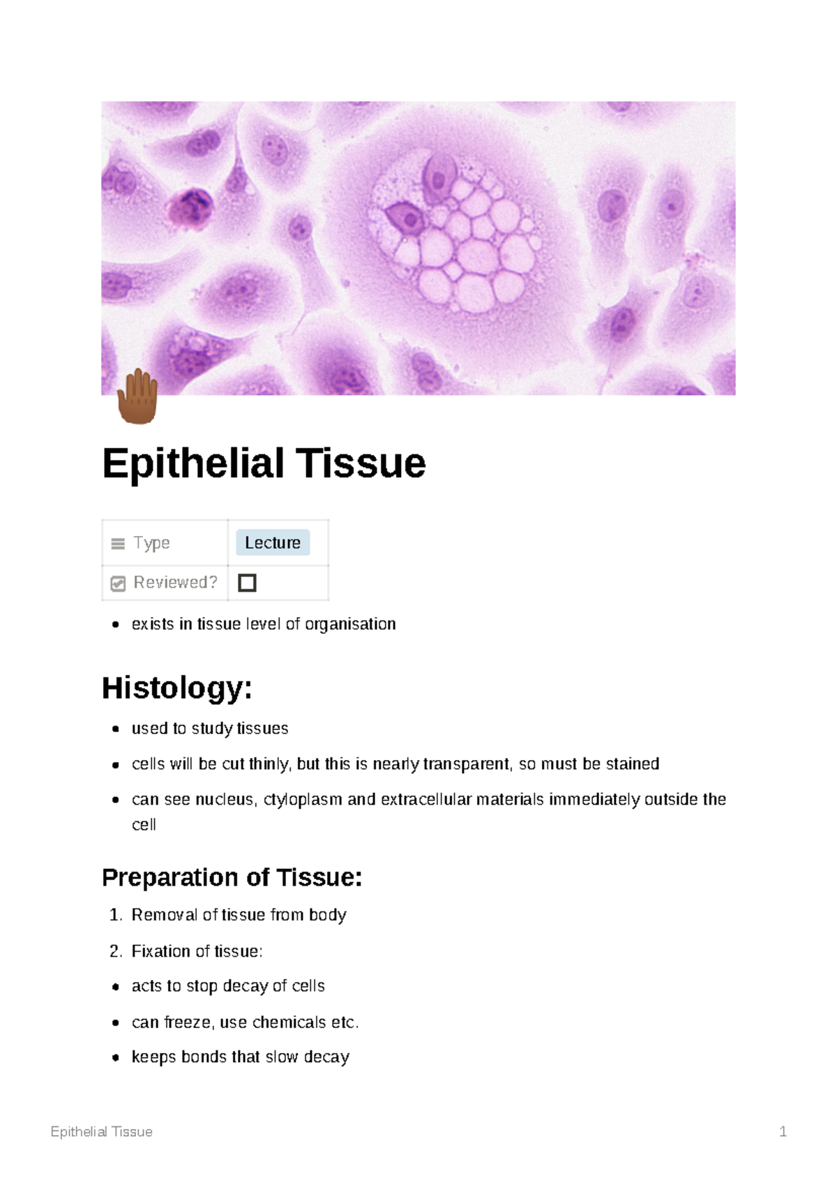 Epithelial Tissue - Epithelial Tissue Type Lecture Reviewed? exists in ...