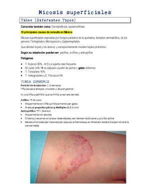 Toxicodermias (Exantema Morbiliforme, Urticaria, Stevens Johnson y ...